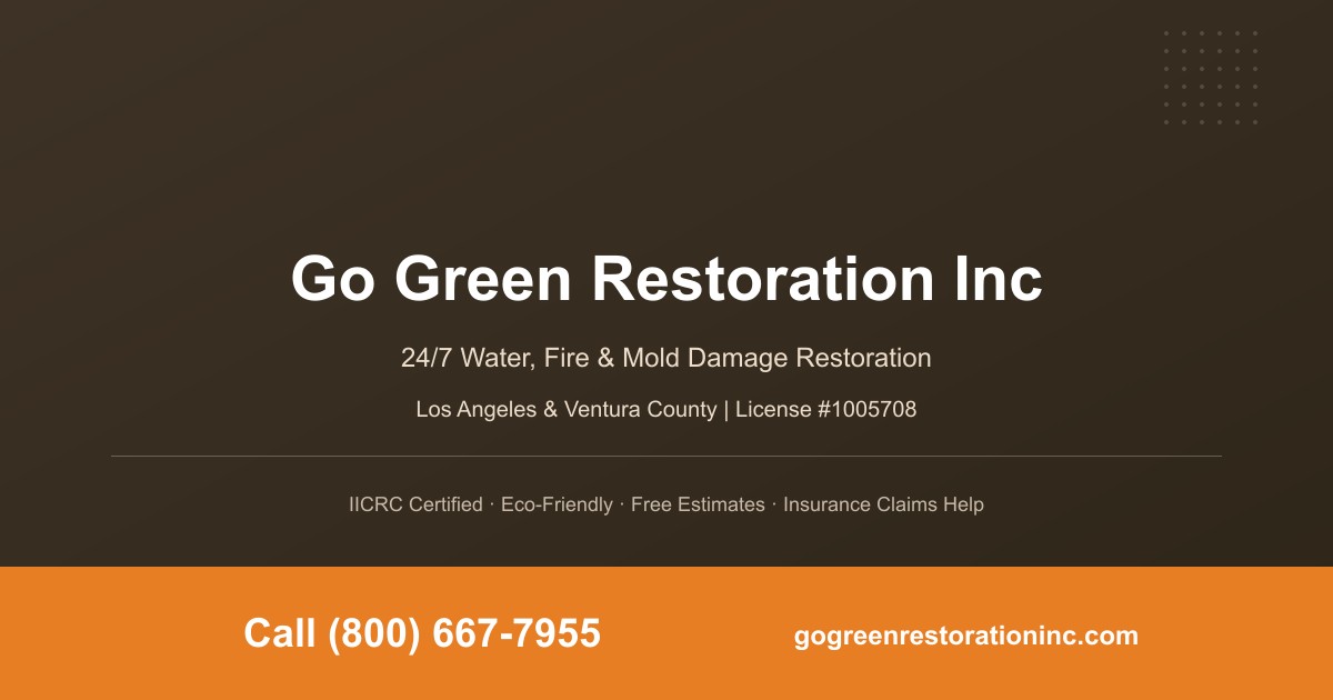 Mold Testing in Meiners Oaks: When and Why You Need It | Go Green ...
